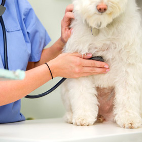 Cardiology – Case Hospitals