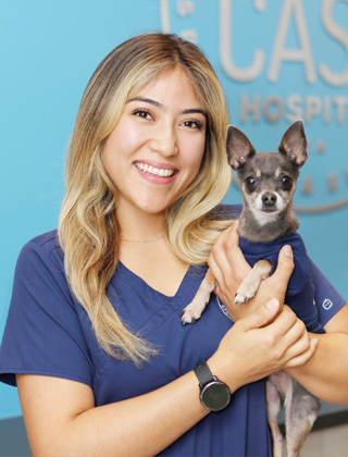 Team - Case Animal Hospital