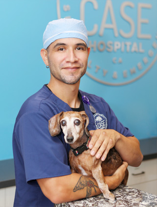 Team - Case Animal Hospital