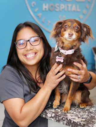 Best Vet Oncologist in Anaheim, CA - Case Animal Hospital