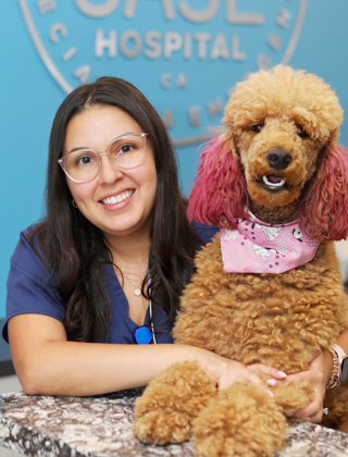 Team - Case Animal Hospital