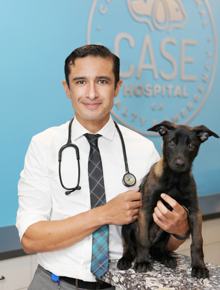 Team - Case Animal Hospital